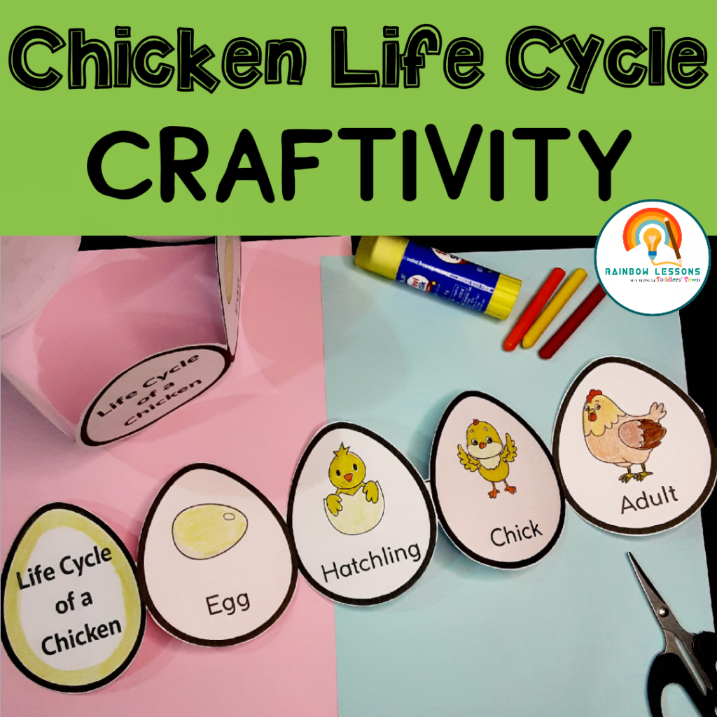 Chicken Life Cycle Craft | Life Cycle of a Chicken | Life Cycle of ...