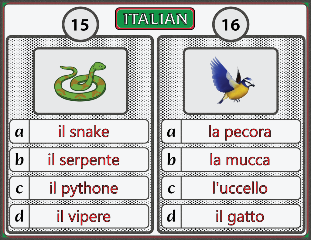 Italian Task Cards - Basic Vocabulary Bundle | Made By Teachers