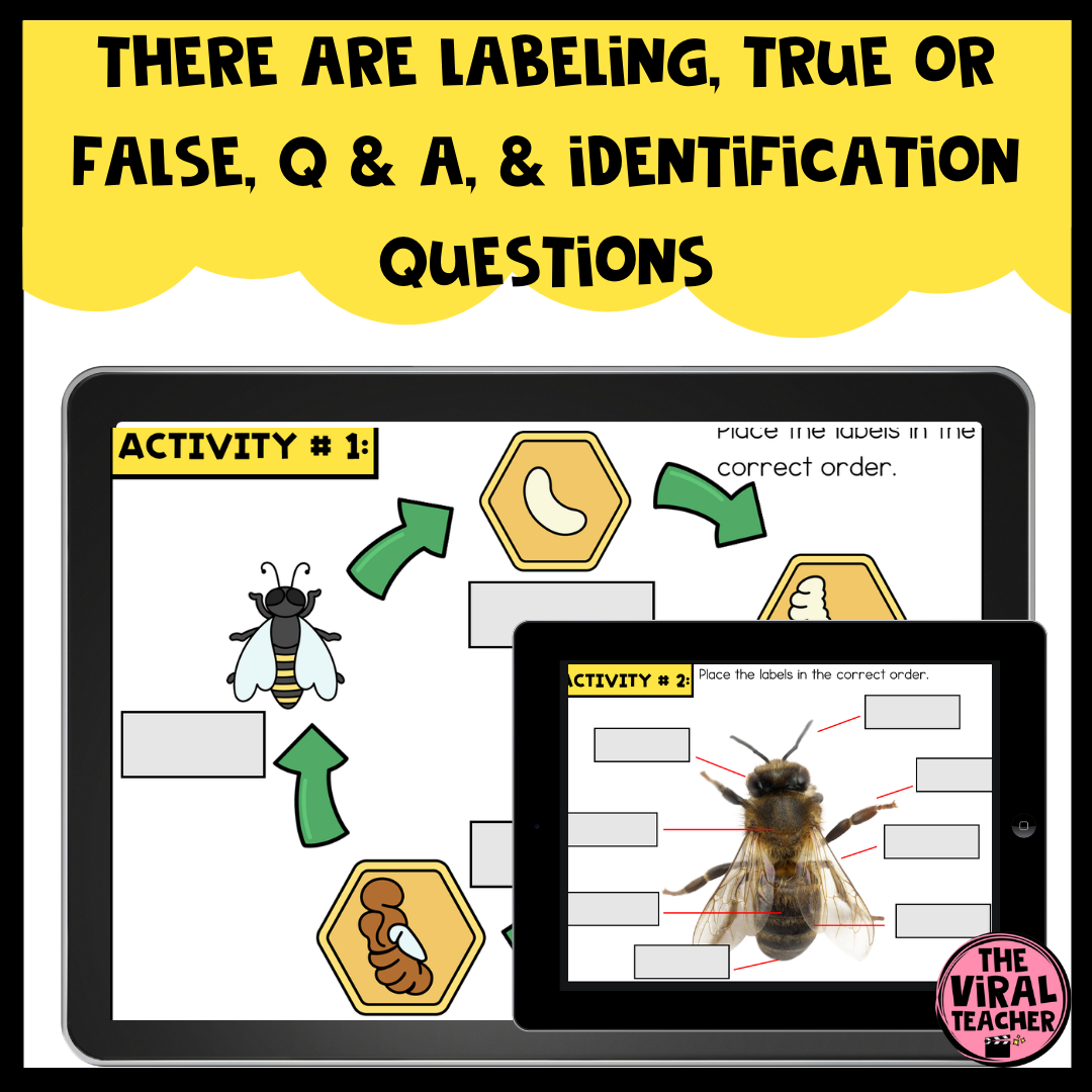 Bee Life Cycle Reading Comprehension and Digital Activities Boom Cards ...