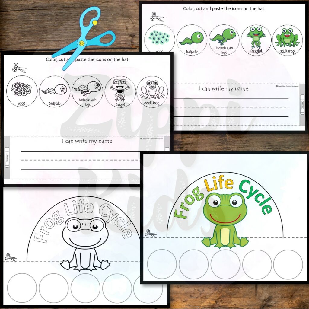 Life Cycle of a Butterfly, Frog & Plant Hat Crown Craft,Sequencing ...