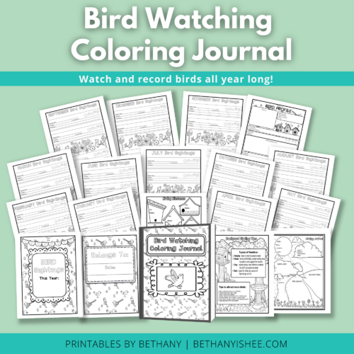 Bird Watching Coloring Journal - Made By Teachers