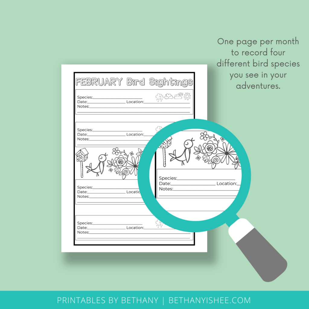 Bird Watching Coloring Journal - Made By Teachers