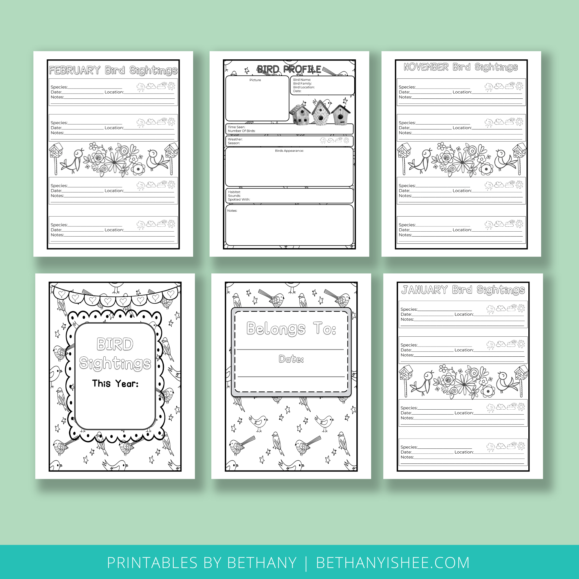 Bird Watching Coloring Journal | Made By Teachers