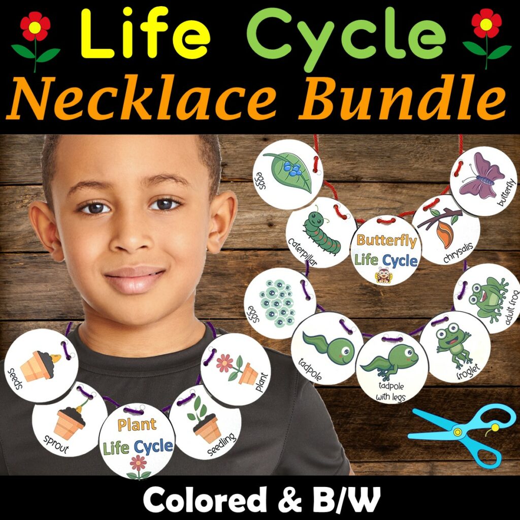 Life Cycle of a Butterfly, Frog & Plant Necklace Craft,Sequencing ...