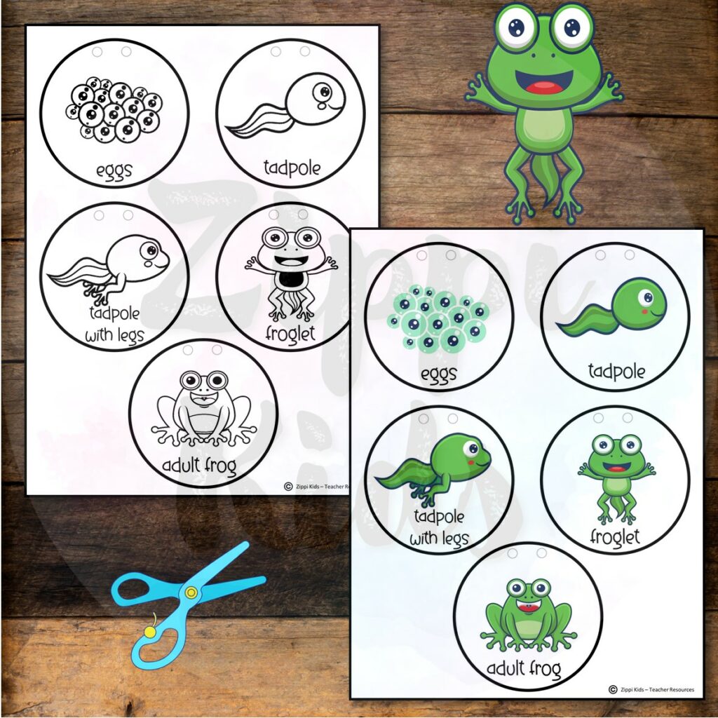 Life Cycle of a Butterfly, Frog & Plant Necklace Craft,Sequencing ...