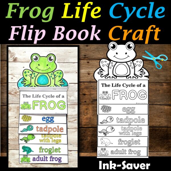 Life Cycle of a Butterfly, Frog & Plant Flip Book Craft,Sequencing ...