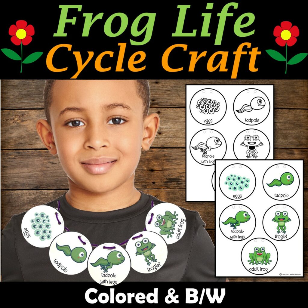 Life Cycle of a Butterfly, Frog & Plant Craft Bundle, Crown, Necklace ...