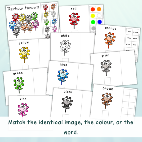 May Flowers & Bugs Adapted books - Made By Teachers