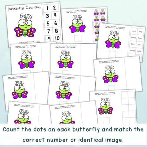 May Flowers & Bugs Adapted books - Made By Teachers