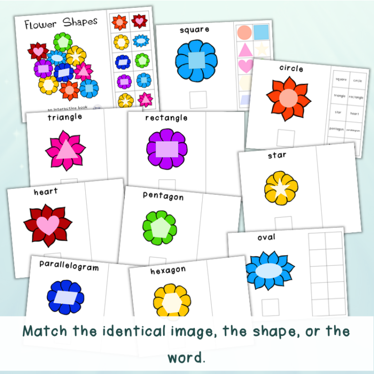 May Flowers & Bugs Adapted books - Made By Teachers