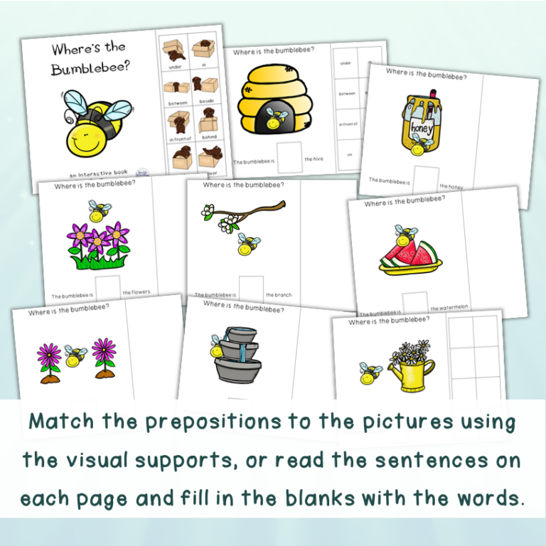 May Flowers & Bugs Adapted books - Made By Teachers