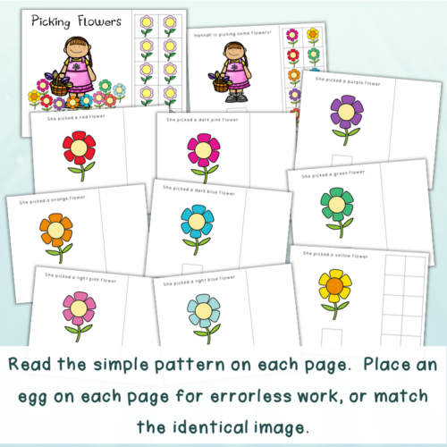 May Flowers & Bugs Adapted books - Made By Teachers