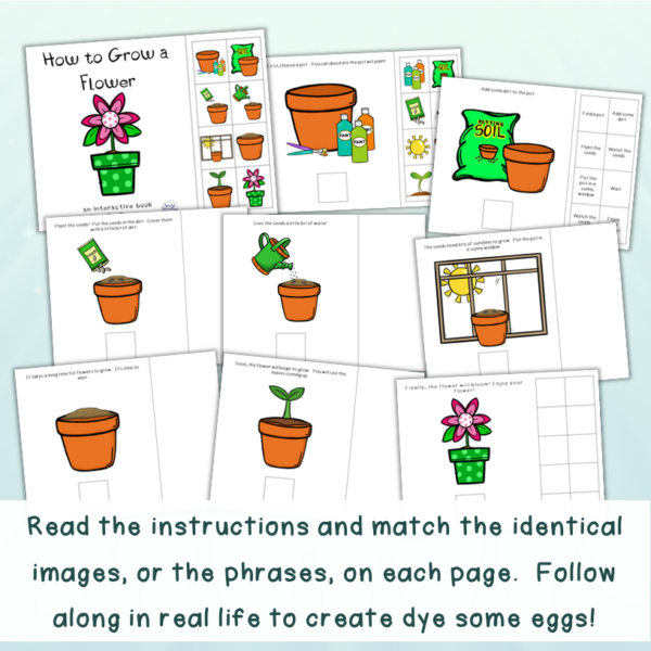 May Flowers & Bugs Adapted books - Made By Teachers