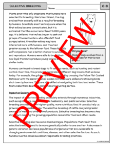 Artificial Selection and Selective Breeding Reading Passage Worksheets ...