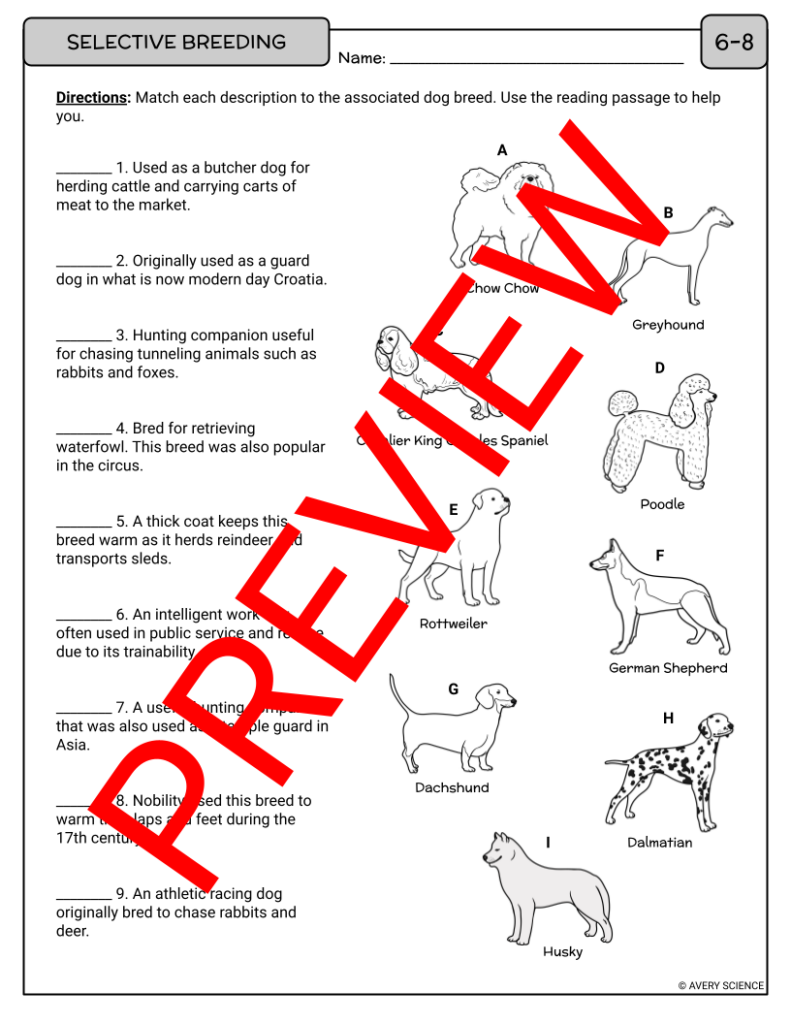 Artificial Selection and Selective Breeding Reading Passage Worksheets ...