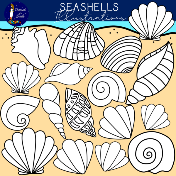 Seashells Clip Art | Made By Teachers
