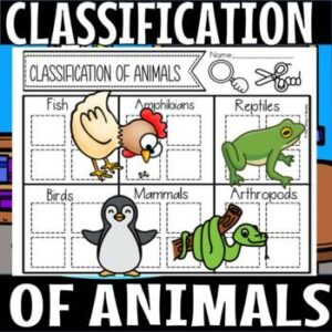 Types of Animals | Made By Teachers