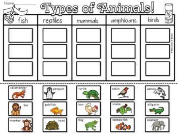 Animal Classification Assessment - Made By Teachers