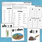 The Little Red Hen R-Controlled Vowels Decodable Reader & Worksheets ...