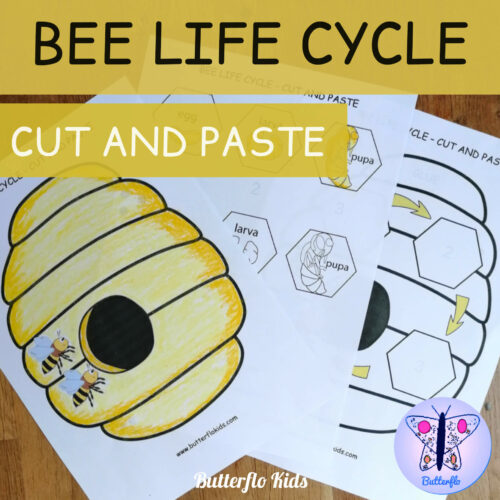 Butterflo Kids - Made By Teachers