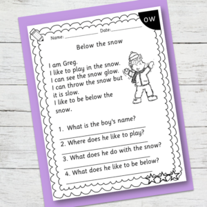 Reading Comprehension Book - RWI Set 2 phonics - Sounds and Stories ...