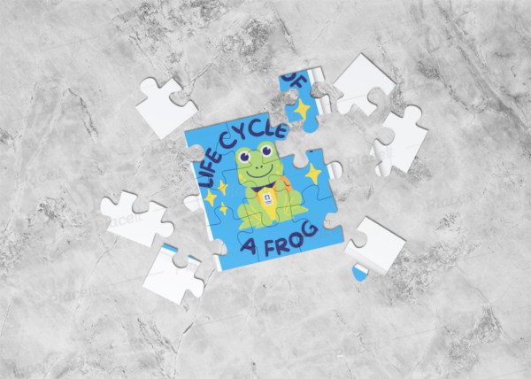 Frog Life Cycle With Observation Worksheets Made By Teachers frog-life-cycle-with-observation-worksheets-made-by-teachers