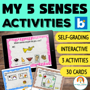 My Five Senses | Five Senses Activities | 5 Senses | First Grade ...