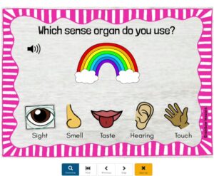 My Five Senses | Five Senses Activities | 5 Senses | First Grade ...