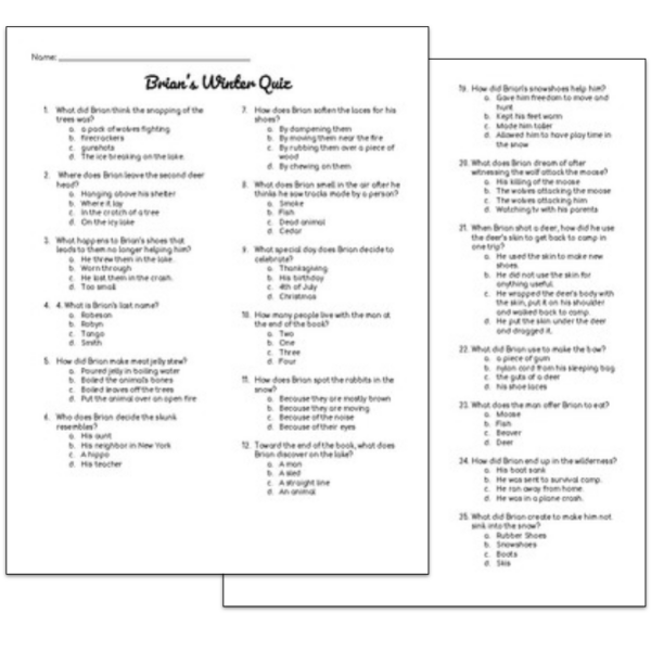 Brian's Winter (Paulsen)-Comprehension Test or Quiz - Made By Teachers