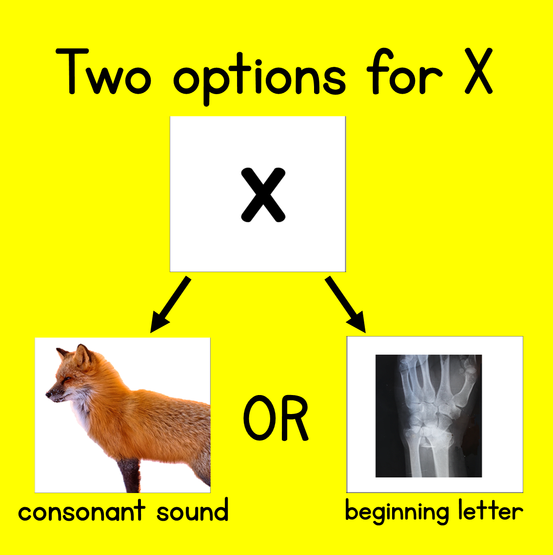 Beginning Letter Match Game with Real Photographs | Made By Teachers