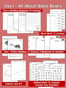 Emergency Sub Plans - Full Week Bear Themed | Made By Teachers