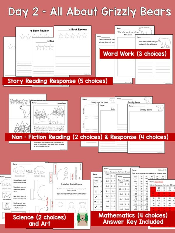 Emergency Sub Plans - Full Week Bear Themed | Made By Teachers