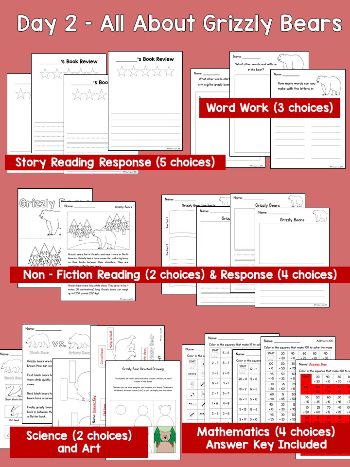 Emergency Sub Plans - Full Week Bear Themed | Made By Teachers