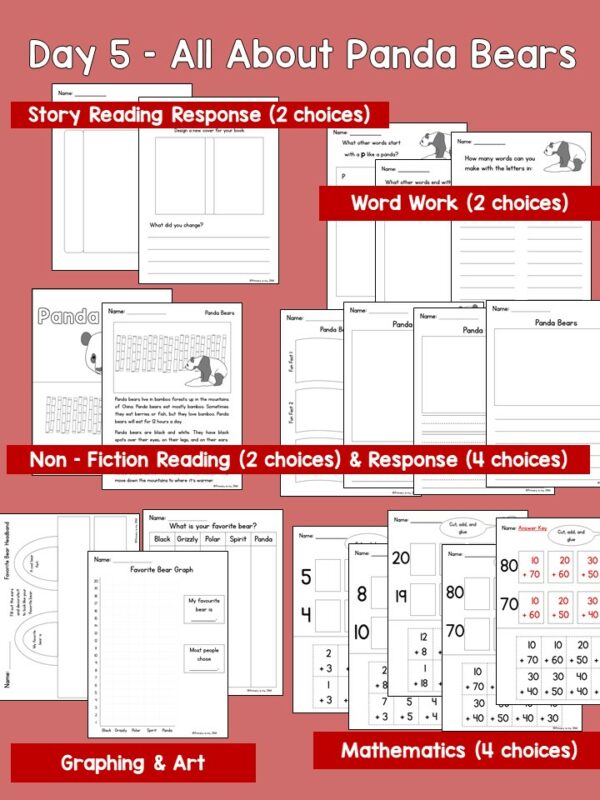 Emergency Sub Plans - Full Week Bear Themed | Made By Teachers