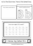 My Alphabet Interactive Notebook - Made By Teachers