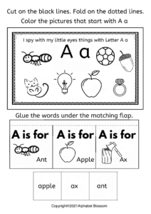 My Alphabet Interactive Notebook - Made By Teachers