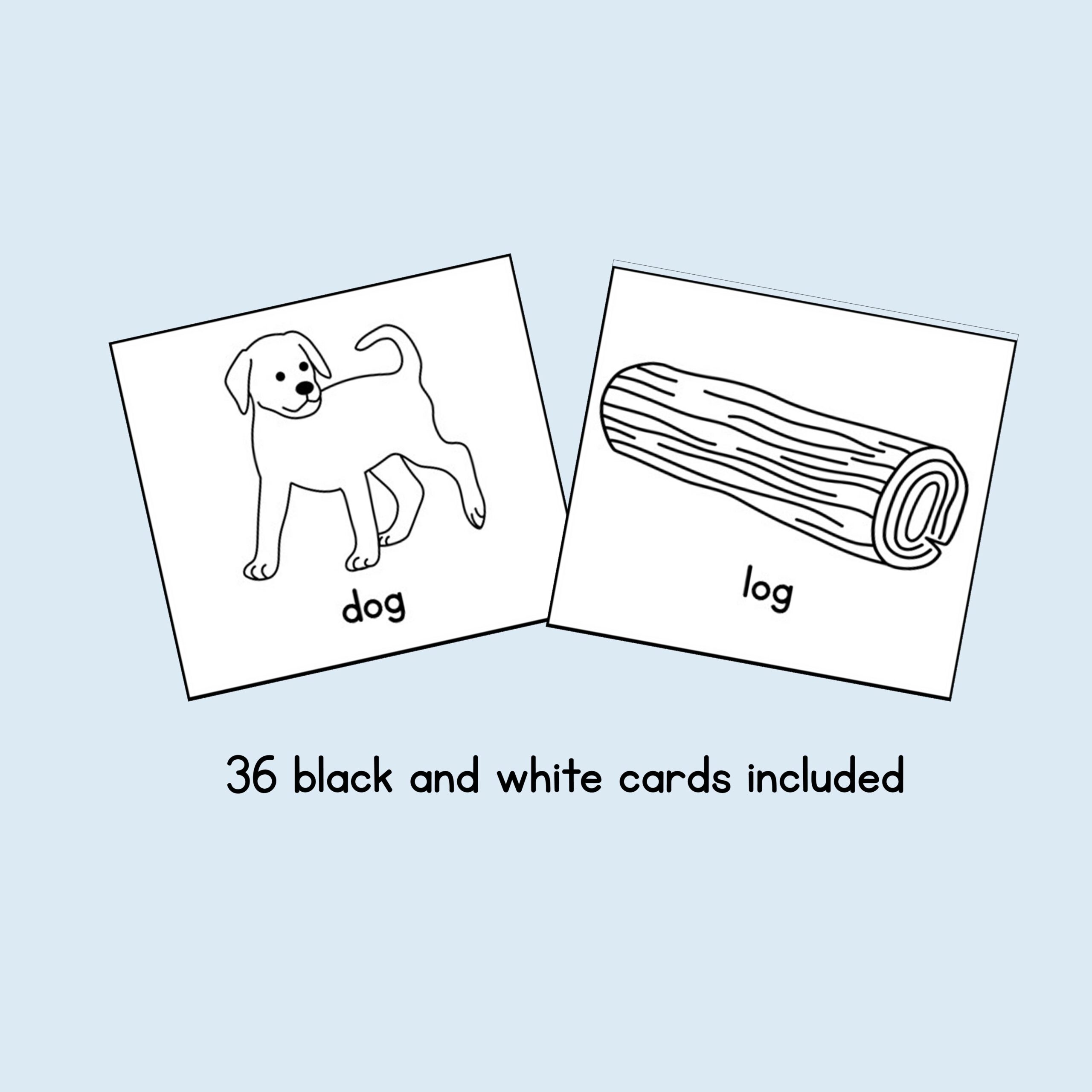 Rhyming Memory Game - CVC Ending Match | Made By Teachers