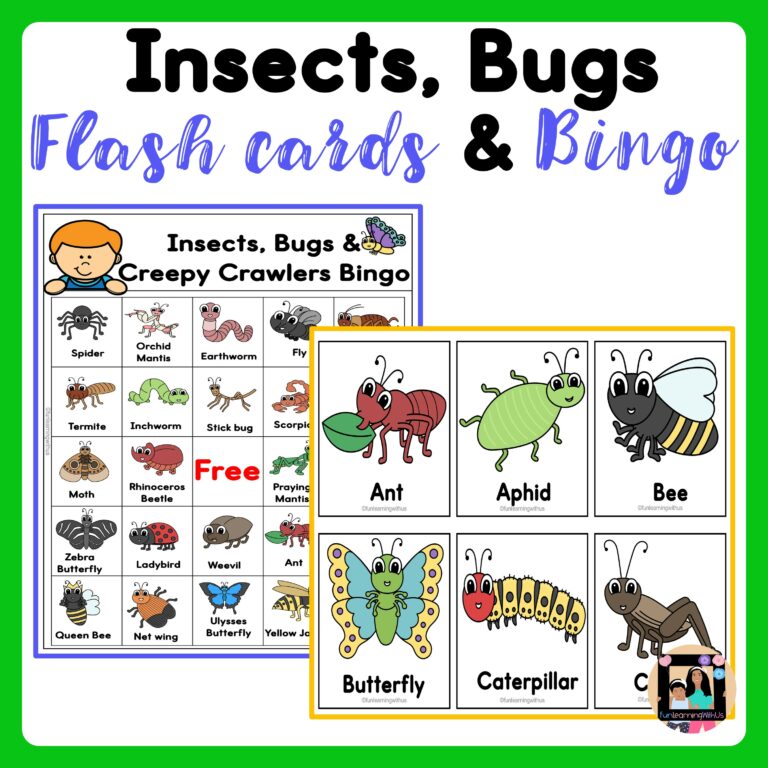 Insects Bugs & Creepy Crawlers Flashcards & Bingo Sheets - Made By Teachers
