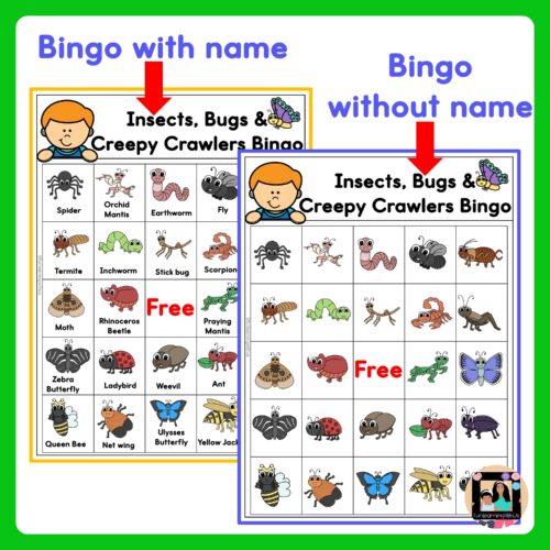 Insects Bugs & Creepy Crawlers Flashcards & Bingo Sheets | Made By Teachers