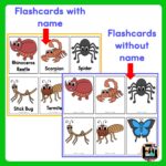 Insects Bugs & Creepy Crawlers Flashcards & Bingo Sheets | Made By Teachers