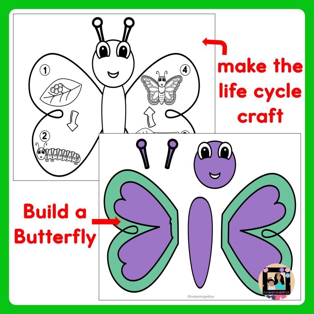 Butterfly Lifecycle Craft - Made By Teachers