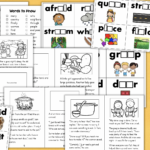 STONE SOUP Decodable Reader Worksheets Vowel Teams AI EA EE IE OA OI ...