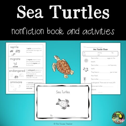 Sea turtles nonfiction book and activities - Made By Teachers