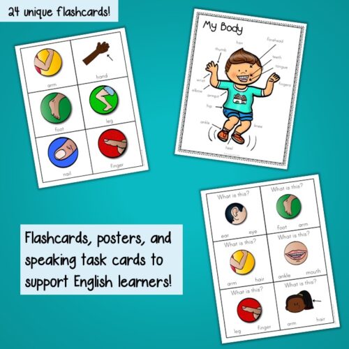 Parts of the Body - ESL/ELL/EL Unit! | Made By Teachers