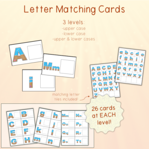 Summer Beach July Adapted Resources BUNDLE - Made By Teachers