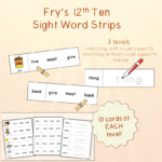 Summer Beach July Adapted Resources BUNDLE - Made By Teachers