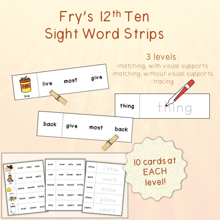 Summer Beach July Adapted Resources BUNDLE - Made By Teachers