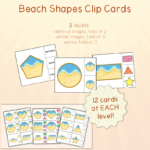 Summer Beach July Adapted Resources BUNDLE - Made By Teachers