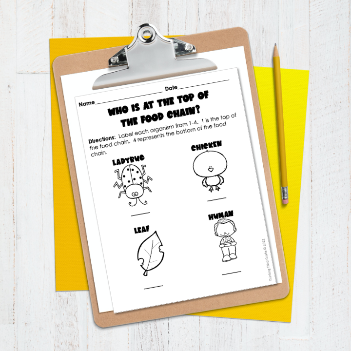 Science Vocabulary Assessments | Habitats Food Chains | Quiz Test ...