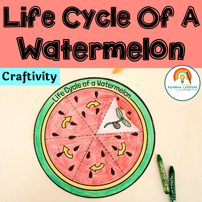 Watermelon Activities | Watermelon Craft | Life Cycle of a Watermelon ...